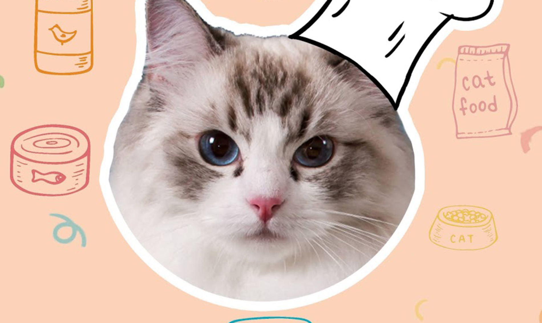 Creators On The Rise Cat Chef That Little Puff Is Stirring Up A Creators On The Rise Cat Chef That Little Puff Is Stirring Up A